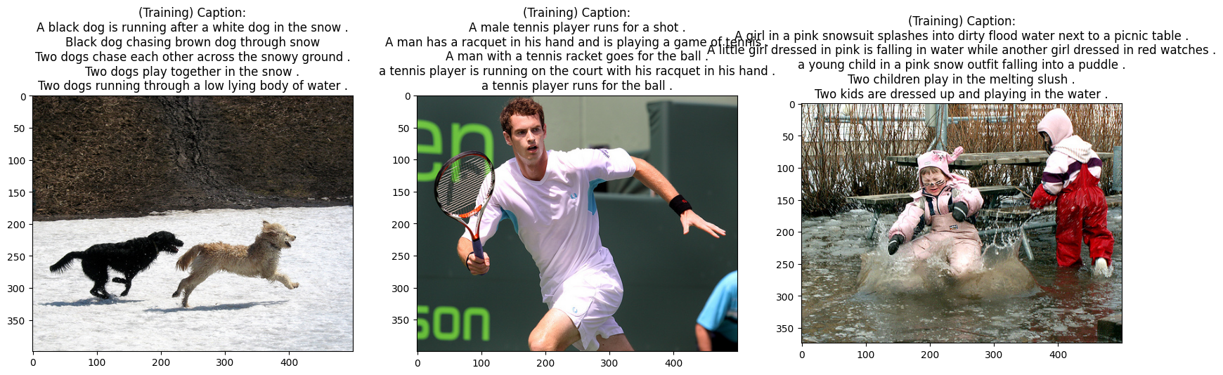 Image Captioning with Vision Transformer (ViT) model — JAX AI Stack