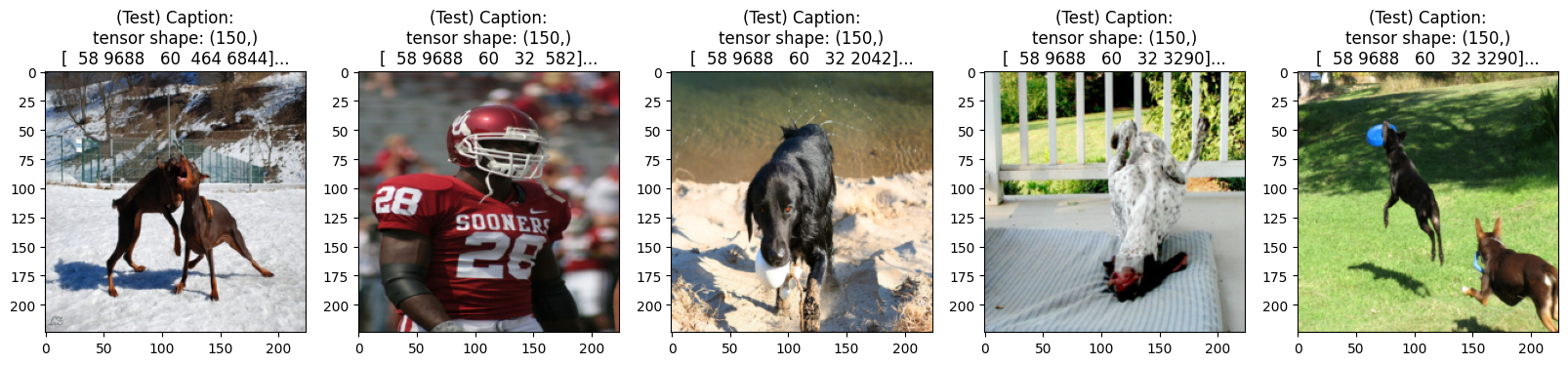 Image Captioning with Vision Transformer (ViT) model — JAX AI Stack