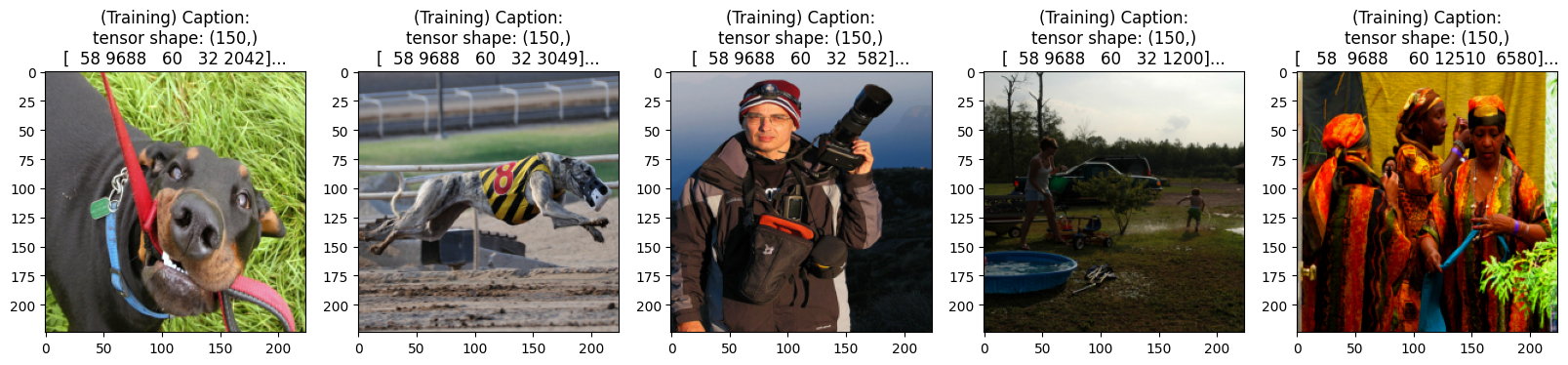Image Captioning with Vision Transformer (ViT) model — JAX AI Stack